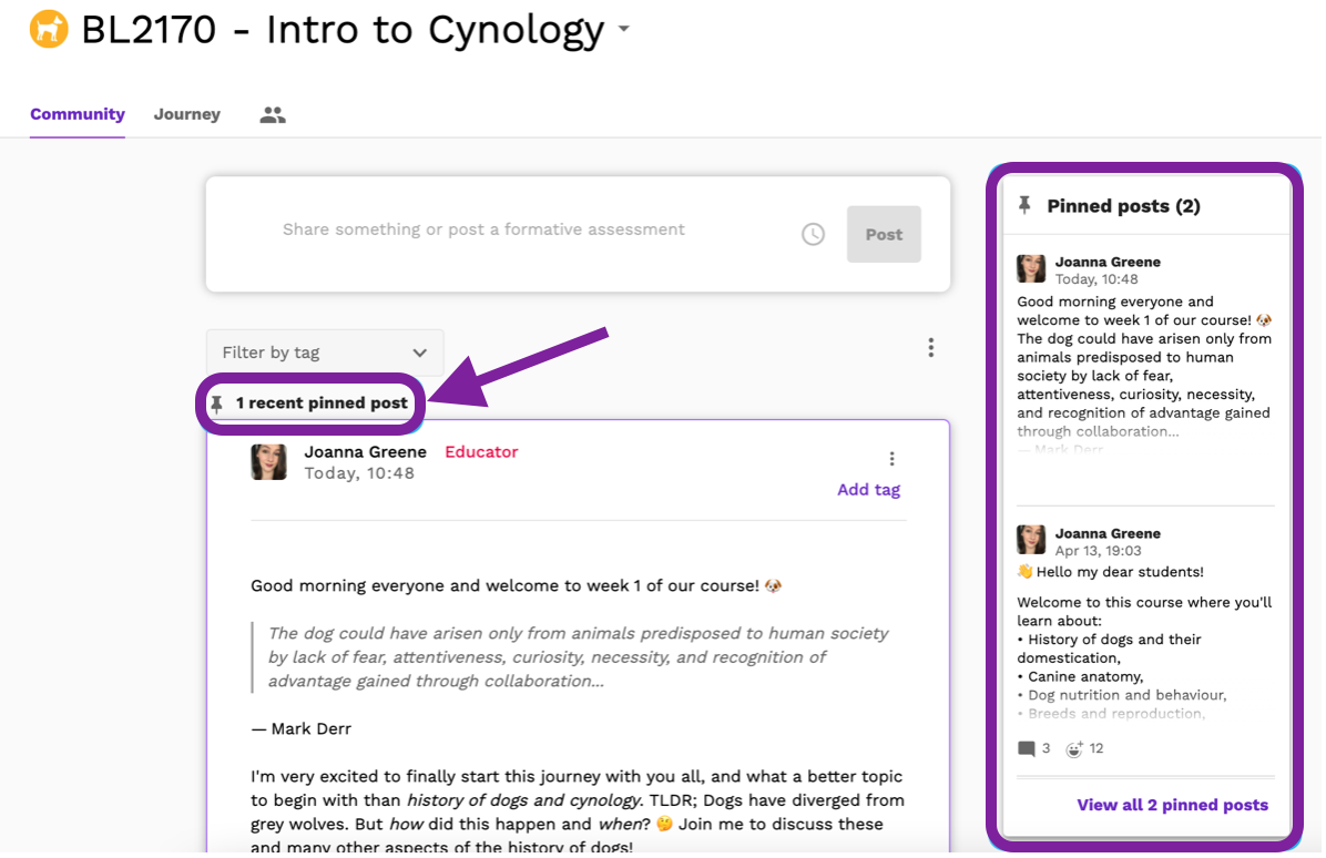 Community Feed: Pin and Unpin Posts – Aula