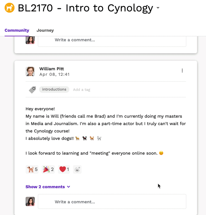 Community Feed Posts And Comments Aula